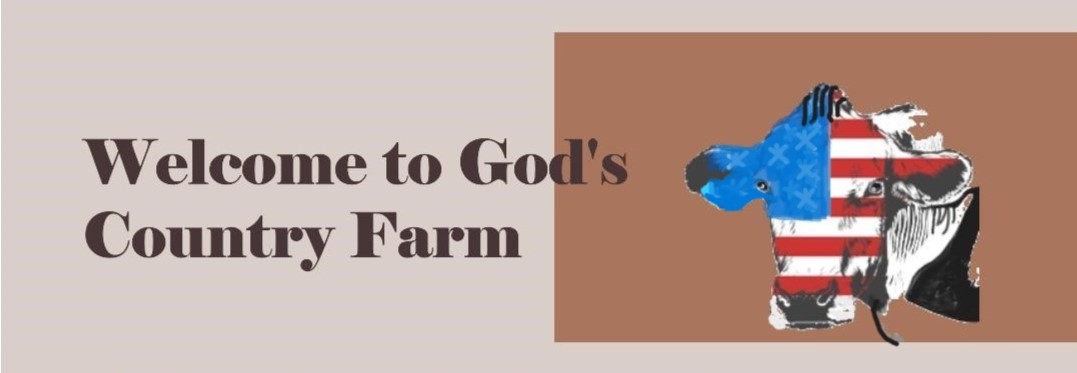 God’s Country Farm | American Meat Services